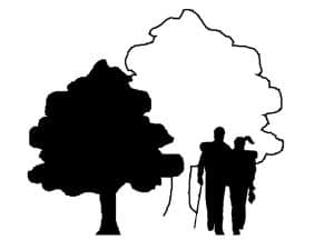 La reproduction d'un dessin - Préparation de cours - ART et différences